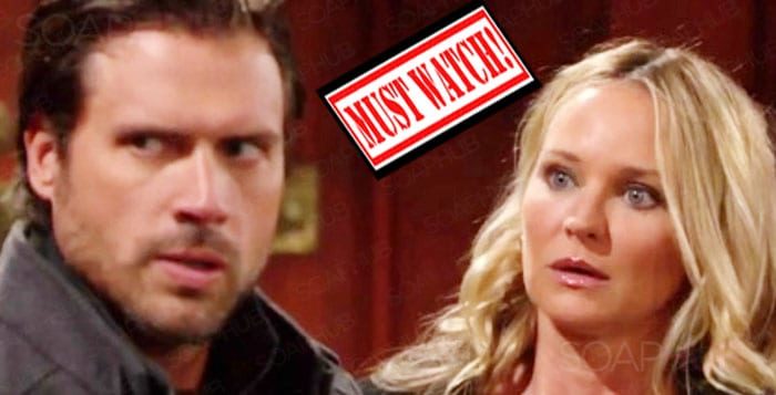 The Enduring Love of Sharon and Nick On The Young and the Restless