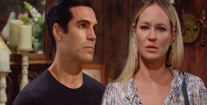 The Young and the Restless Poll Results: Does Sharon Really Belong With ...