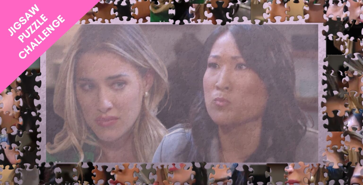 DAYS Jigsaw Challenge Nov 23-2 | Soaphub.com